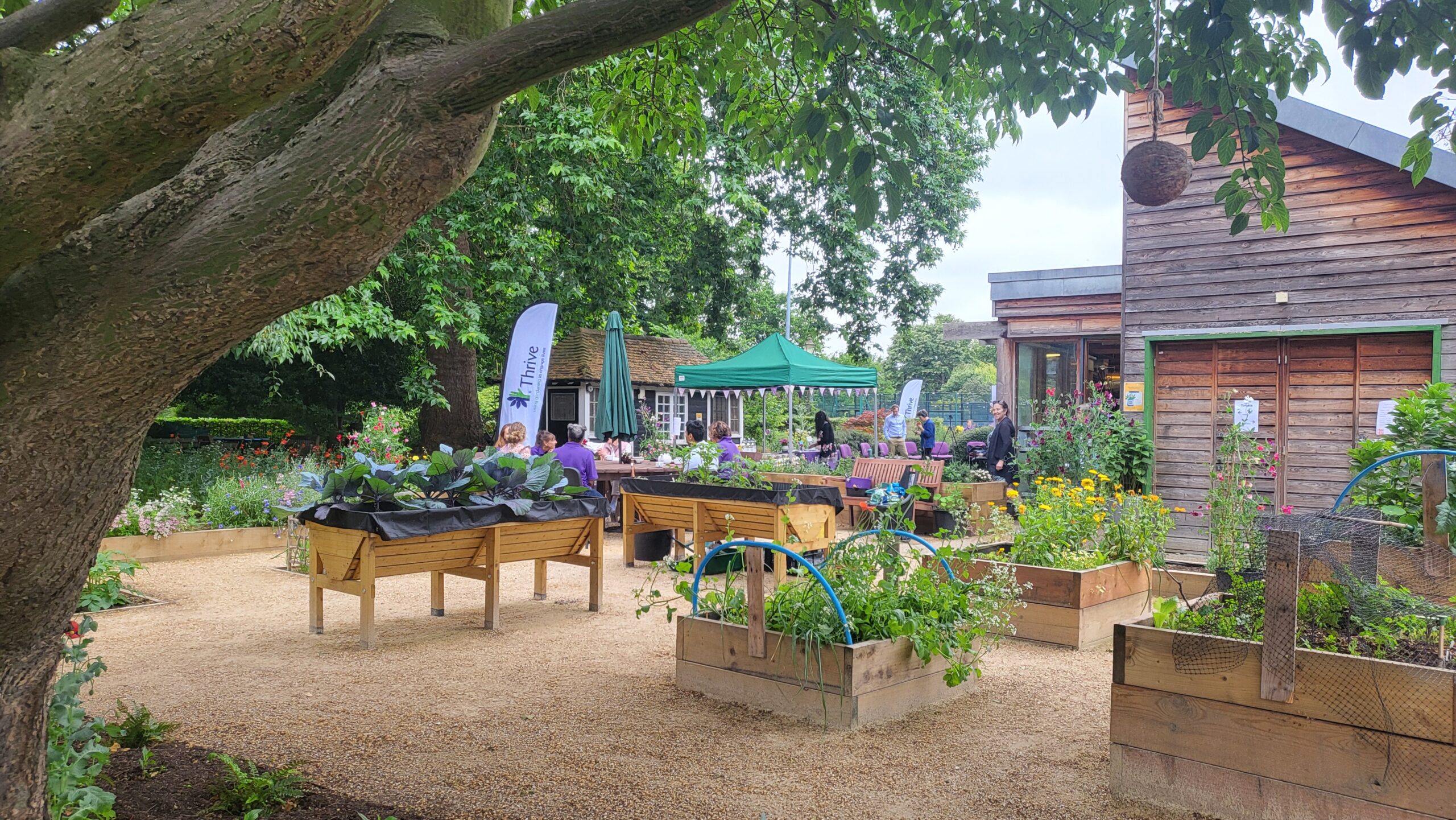 Wellbeing garden launches in London – SocialCareToday